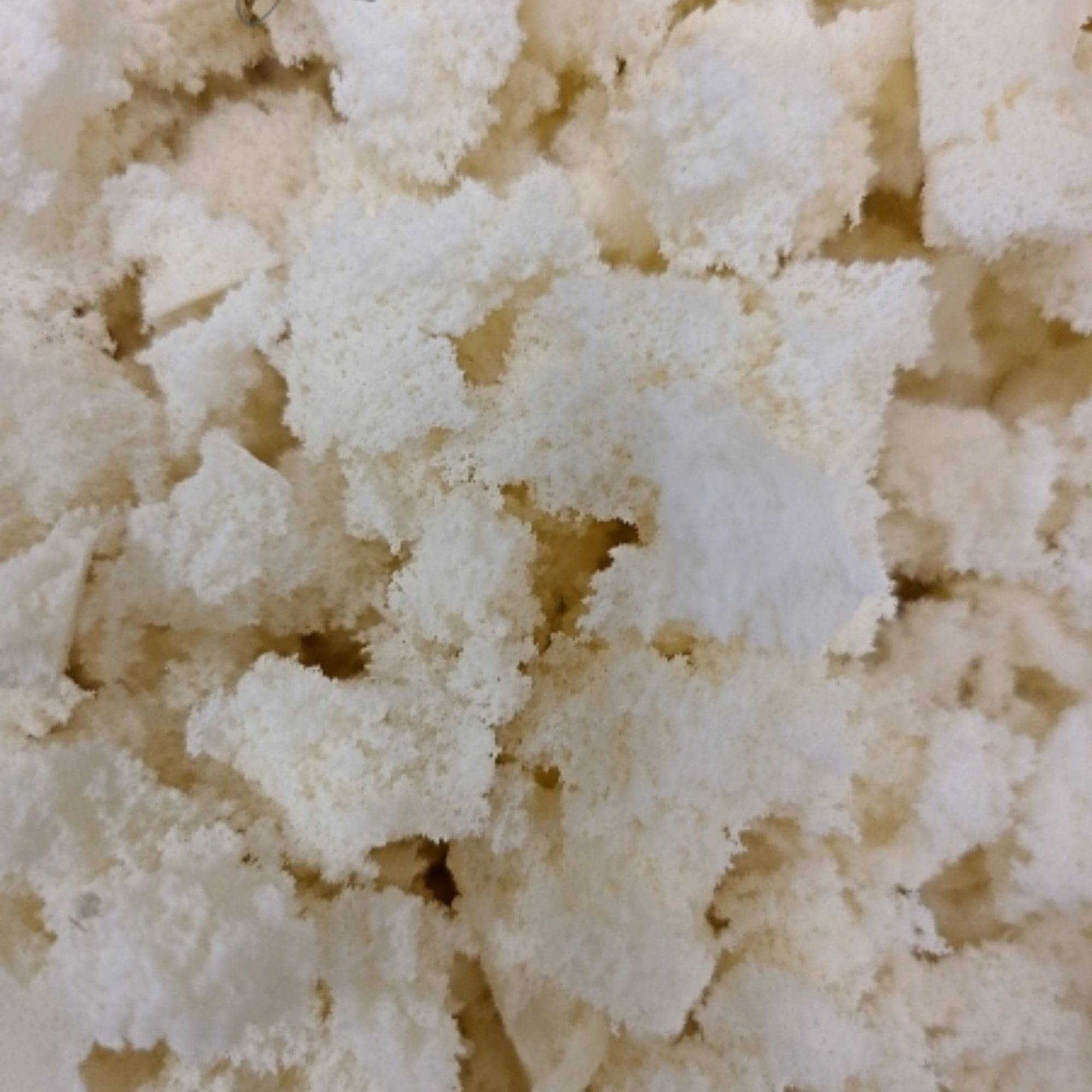 Natural Shredded Latex Fill - Great for pillows, cushions & beanbags ...